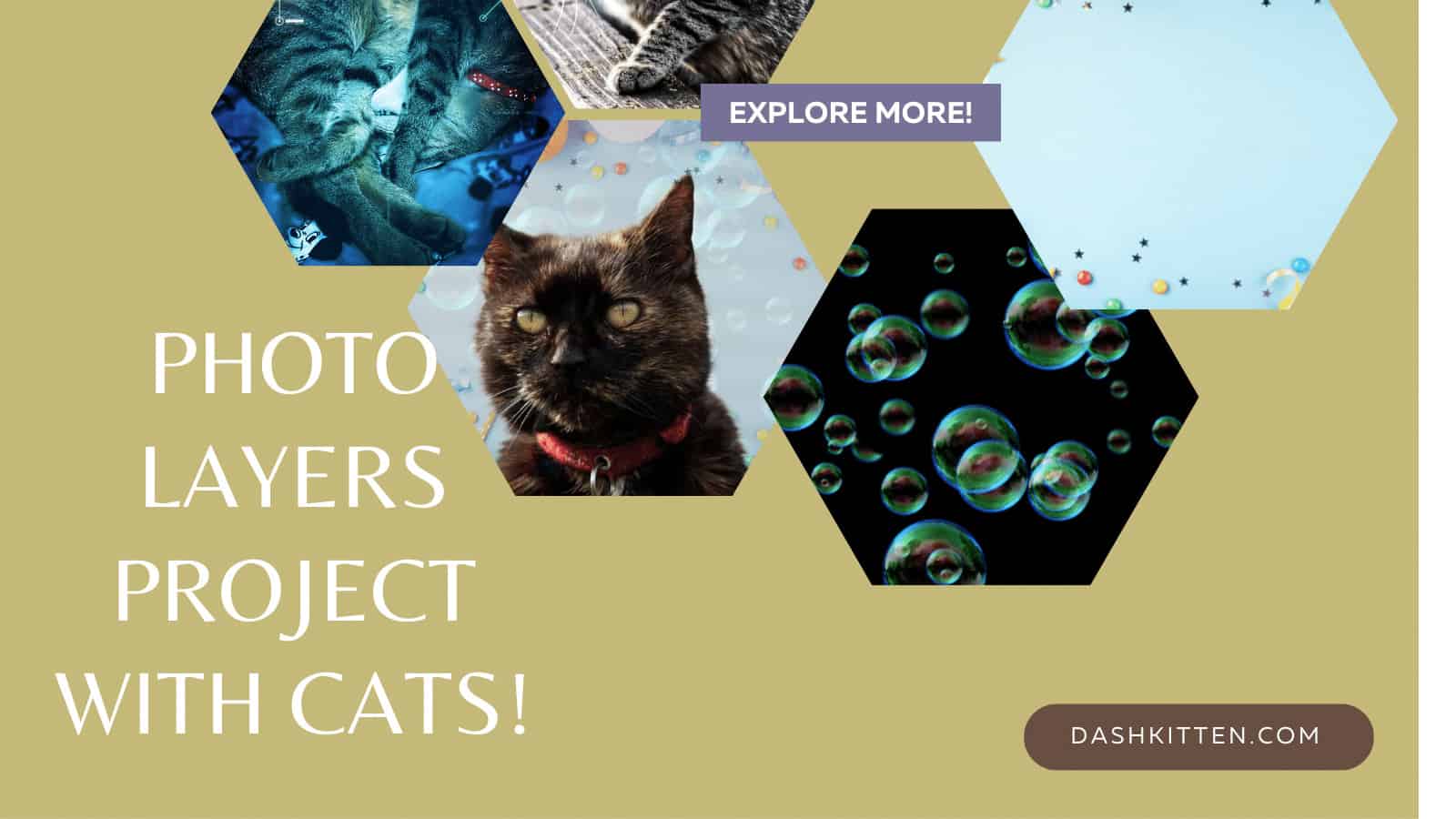How to Create A Fantasy Pet Portrait – Dash Kitten