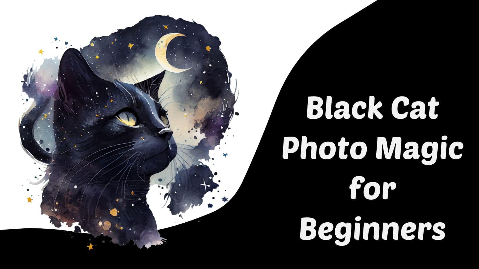 Black Cat Magic for Beginners – Dash Kitten